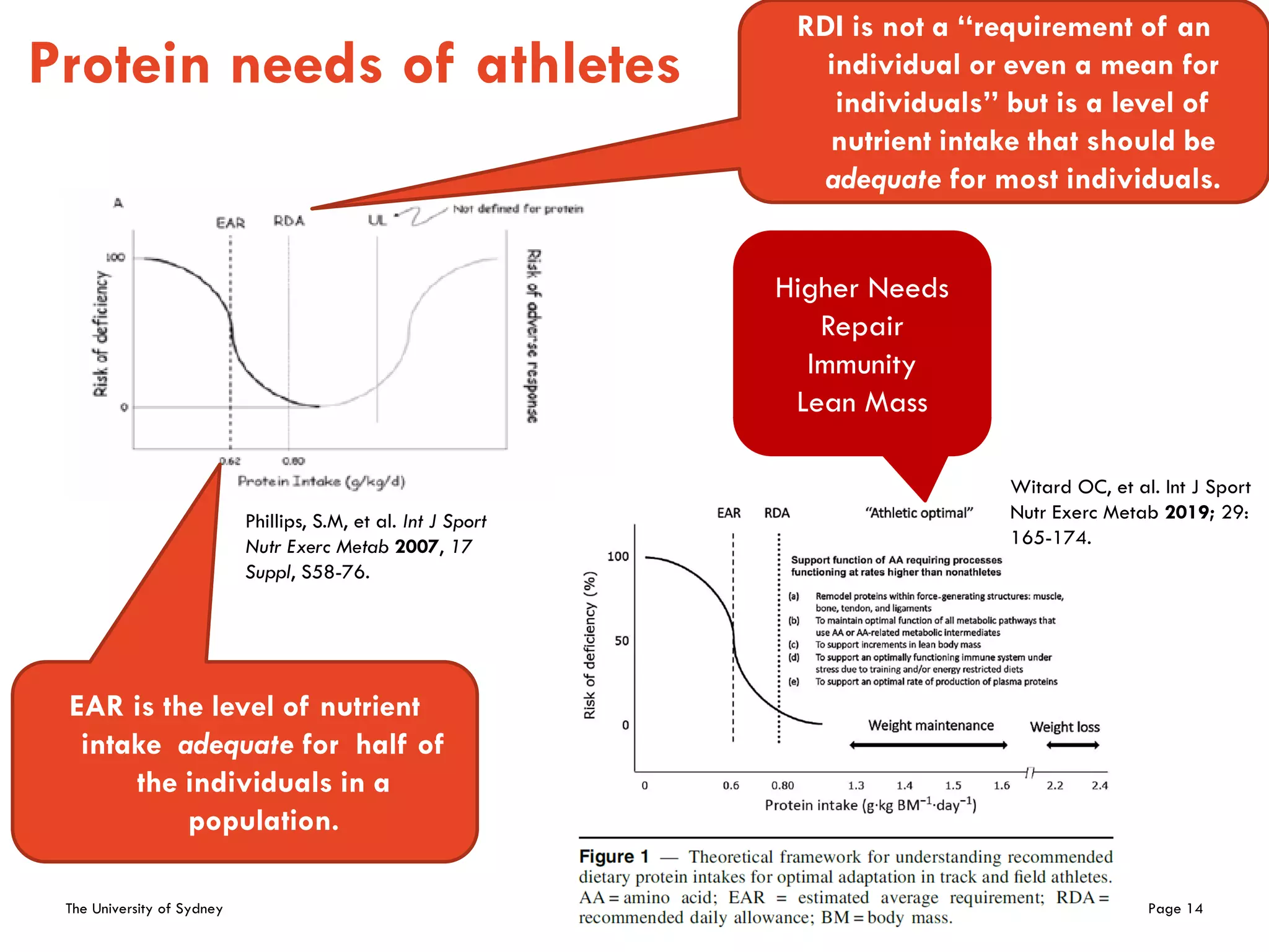 Dietary Protein Requirements of athletes.pdf