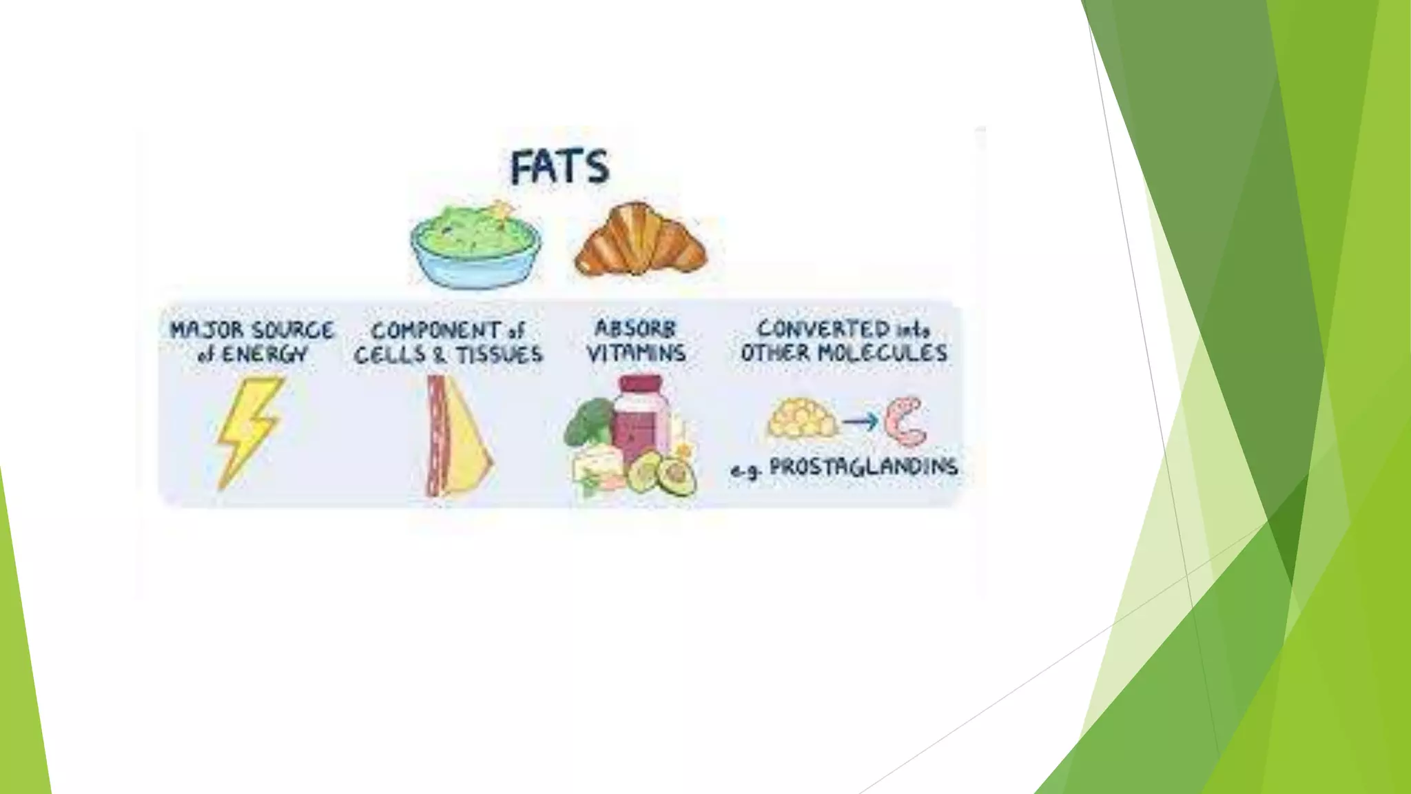 Diet & fats.pptx