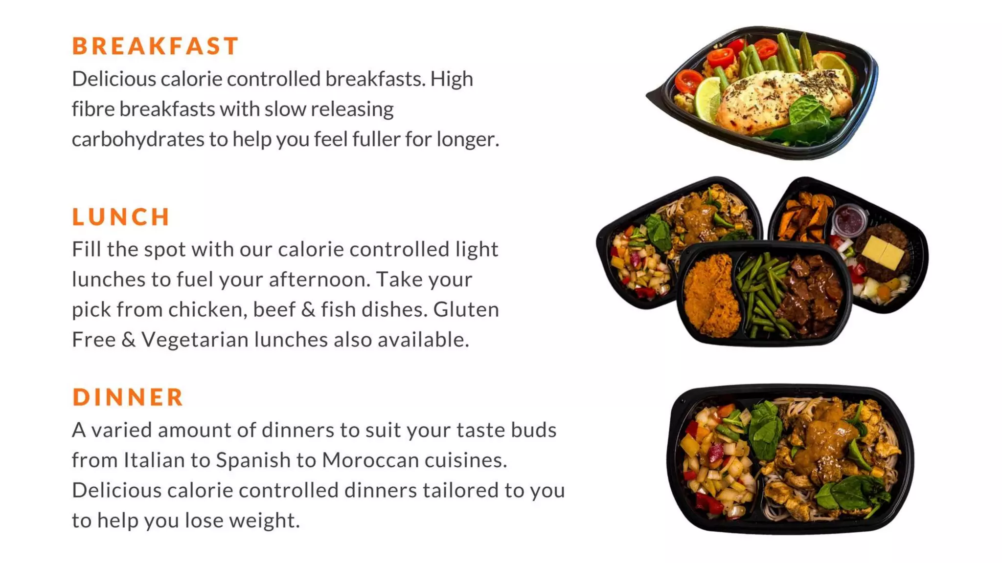 Diet food delivery | PPTX