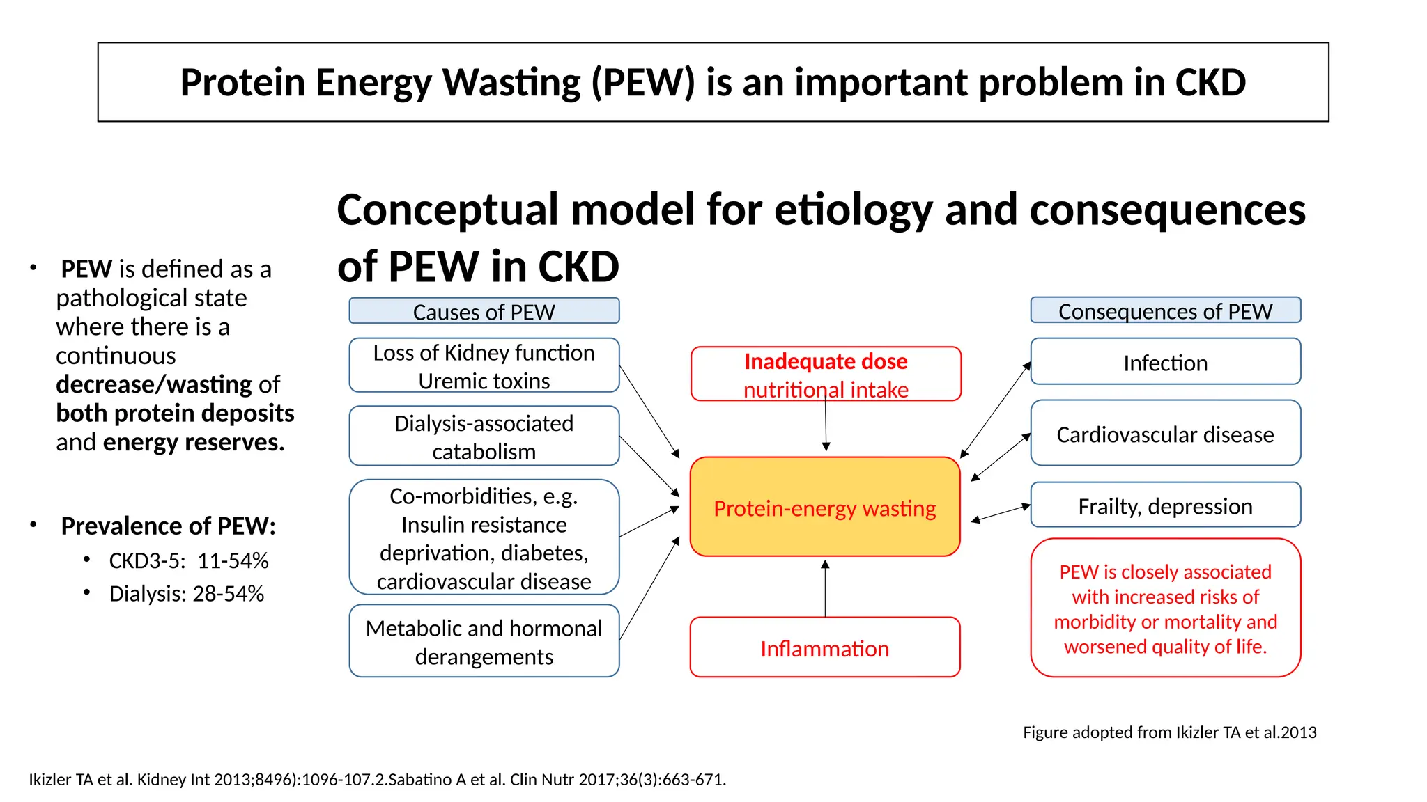 dietary management of predialysis chronic kidney disease.pptx