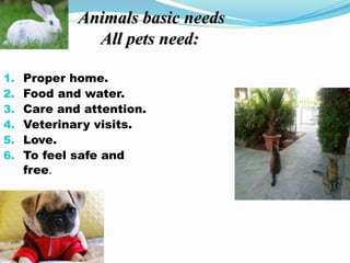 Diet of pet animals in India, Sri Lanka, Australia and Singapore | PPTX