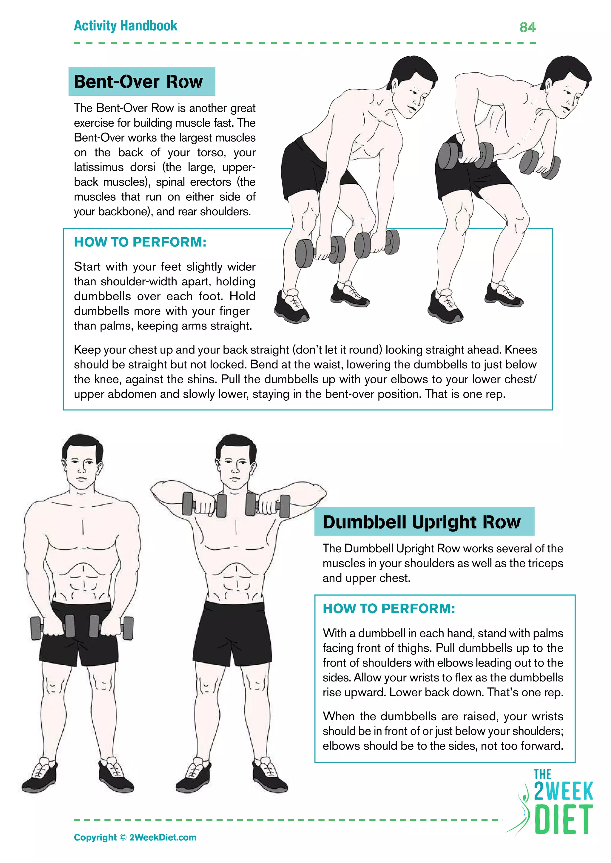 Diet Plans Comparison Chart | PDF