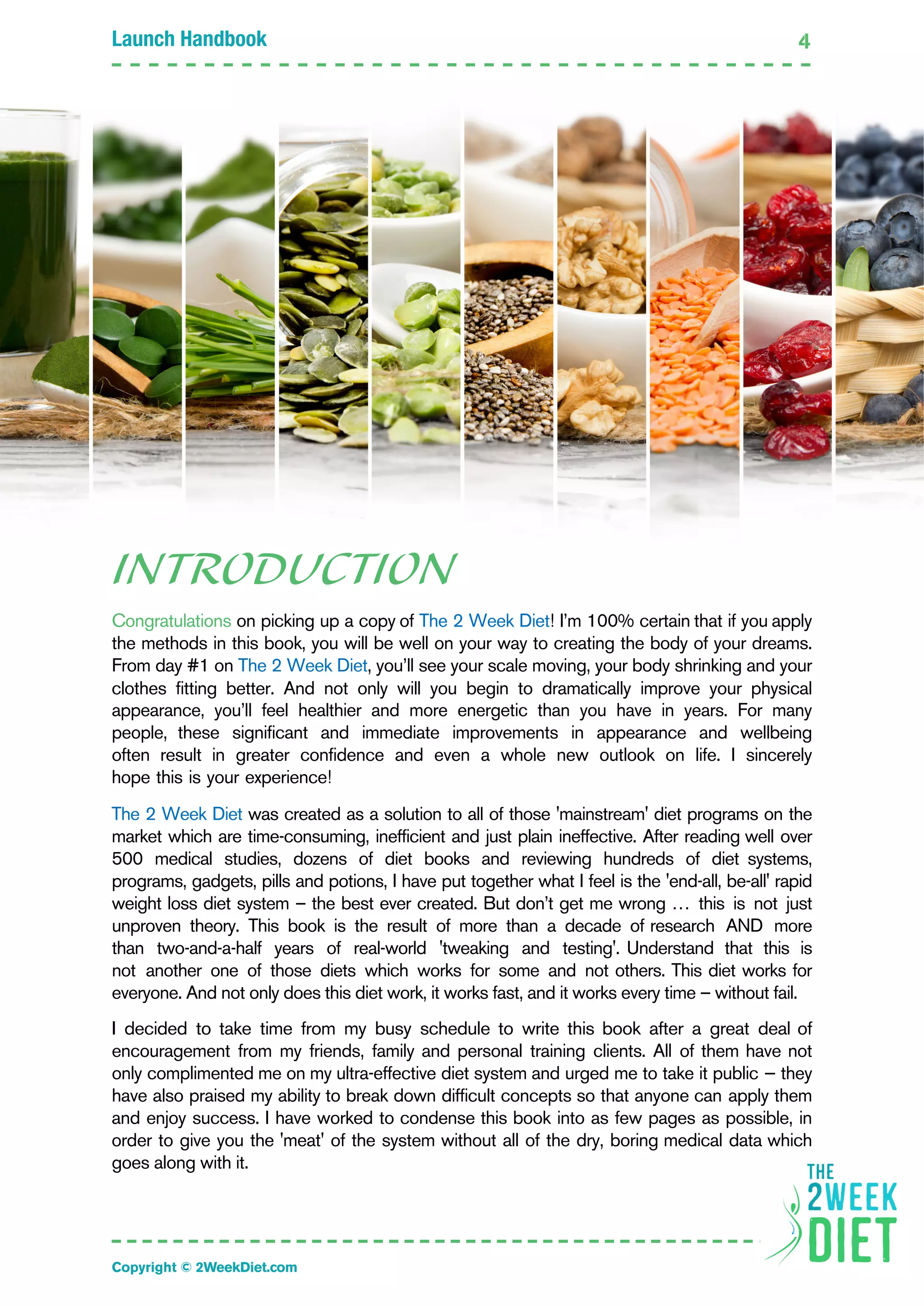 Diet Plans Comparison Chart | PDF