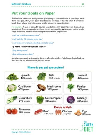 Diet Plans Comparison Chart | PDF