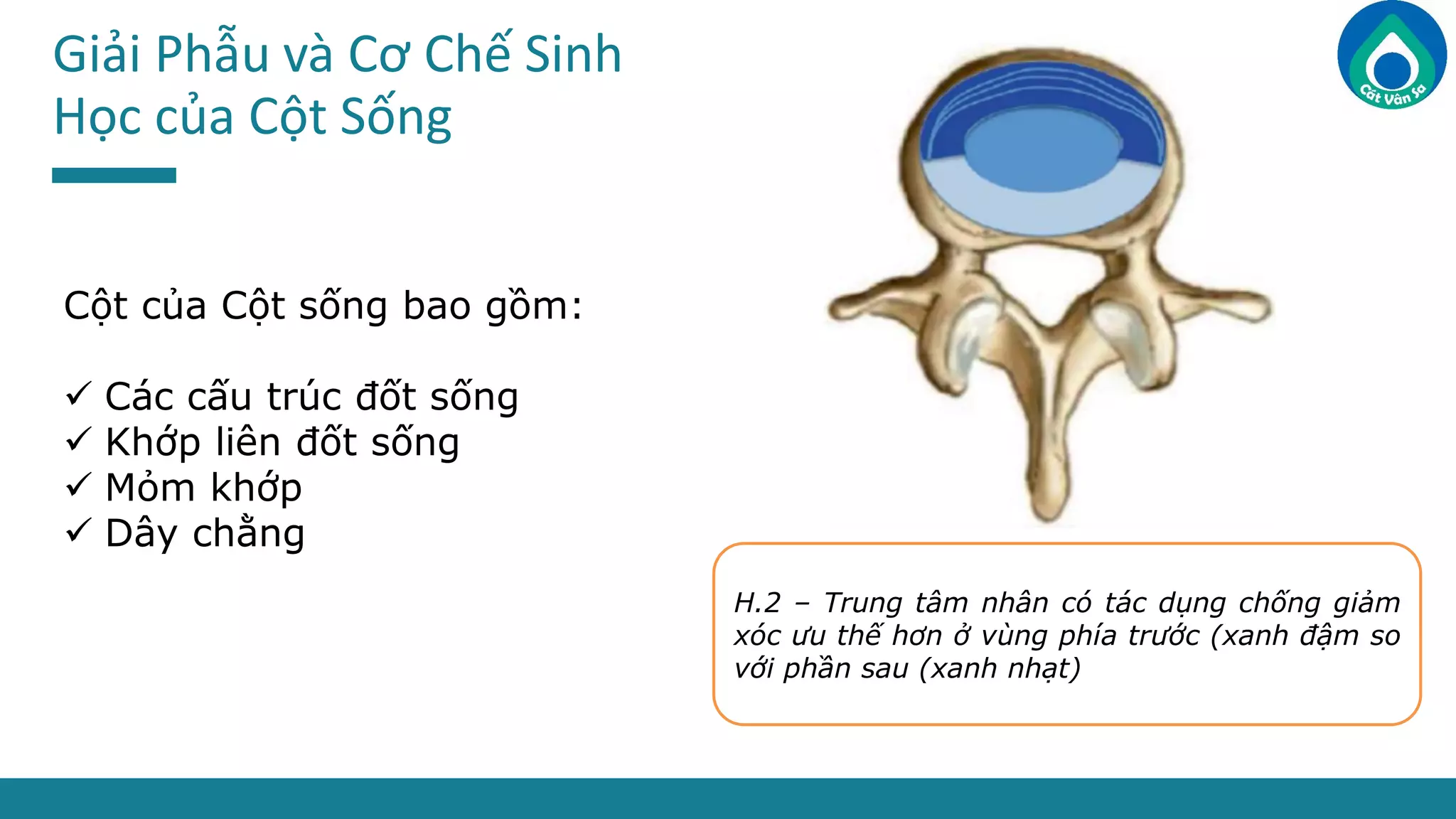 Điều Trị Đau Cột Sống Mạn Tính bằng Sóng Vô Tuyến Cao Tần RFA (Rafio ...