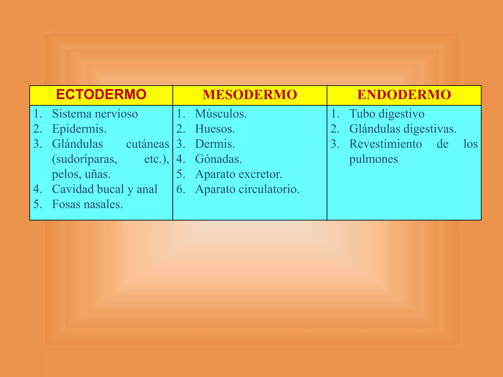 Diferenciación Celular Bioseño
