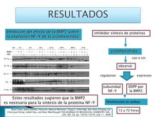 Diferenciación odontoblastos | PPTX