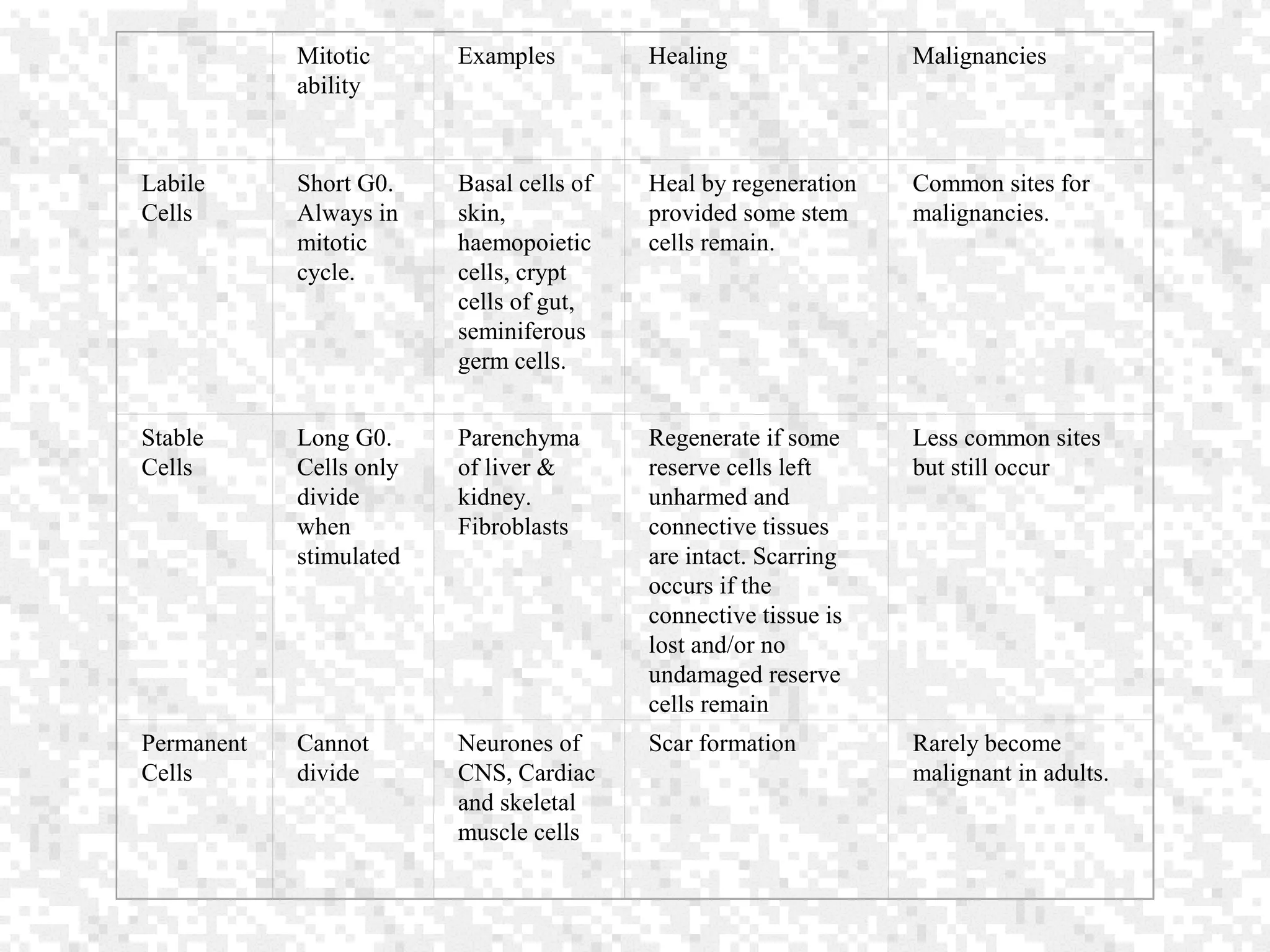 Diferenciacion celular | PPT
