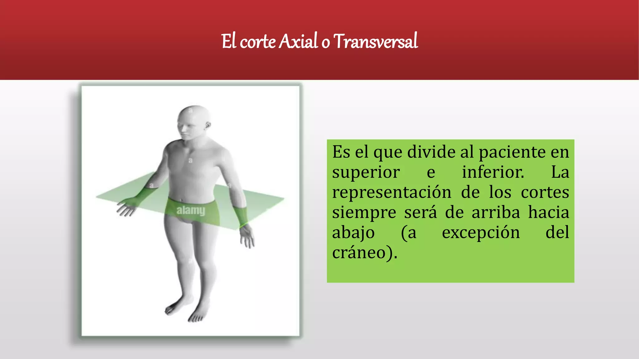 DIFERENCIA ENTRE LOS PLANOS ANATÓMICOS.pptx | Surgery | Medical Health