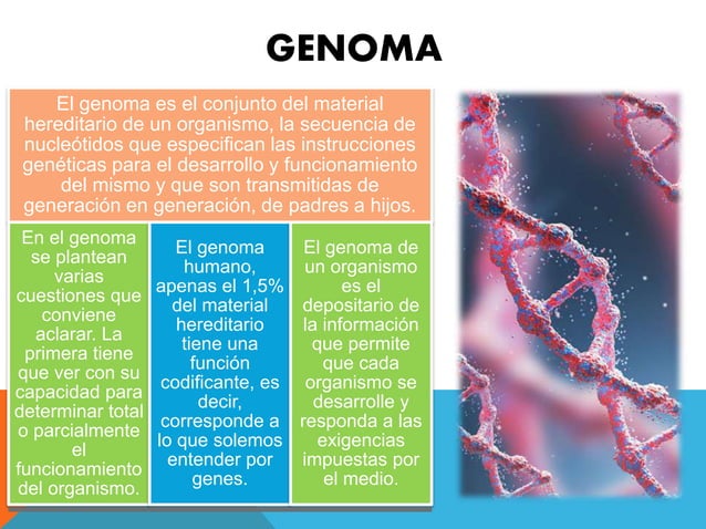 Diferencia entre proteoma y genoma- Lizbeth Sosa | PPT