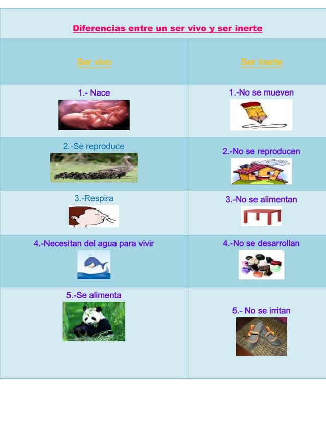 Diferencias entre un ser vivo y ser inerte | DOCX
