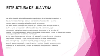 Diferencias entre venas y arterias | PPTX
