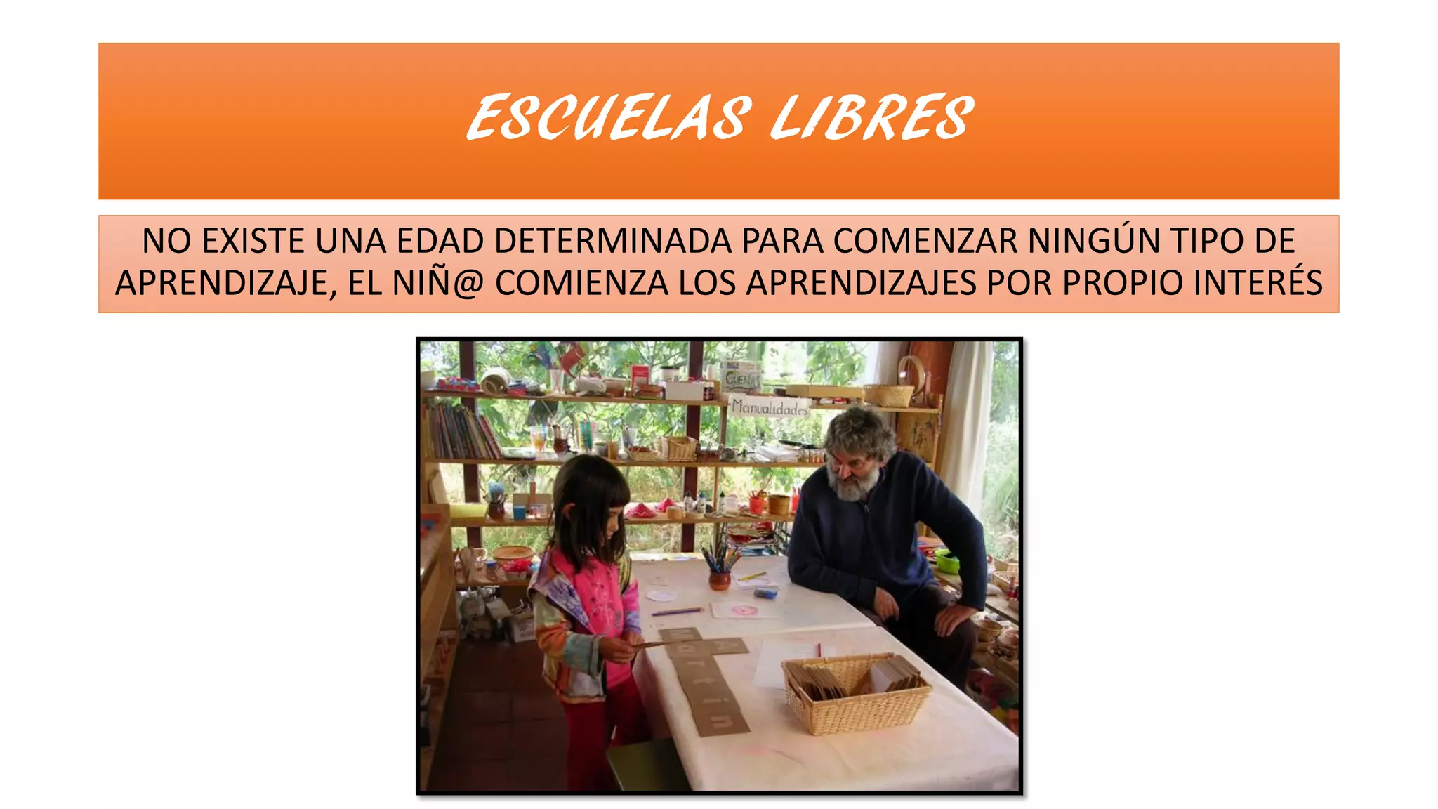 Diferencias entre Waldorf, Montessori y otras Escuelas Libres | PDF