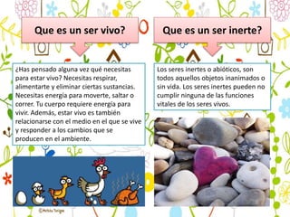 Cuál es la diferencia entre los seres vivos y los no vivos