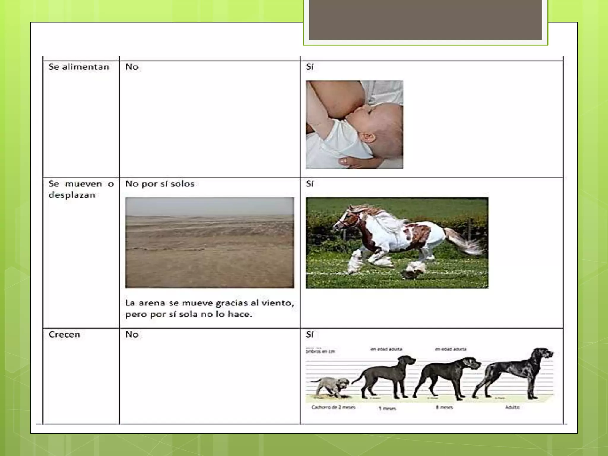 Diferentes ciclos de vida | PPTX