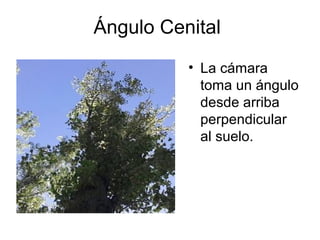 Power Point ángulos de fotografia | PPT