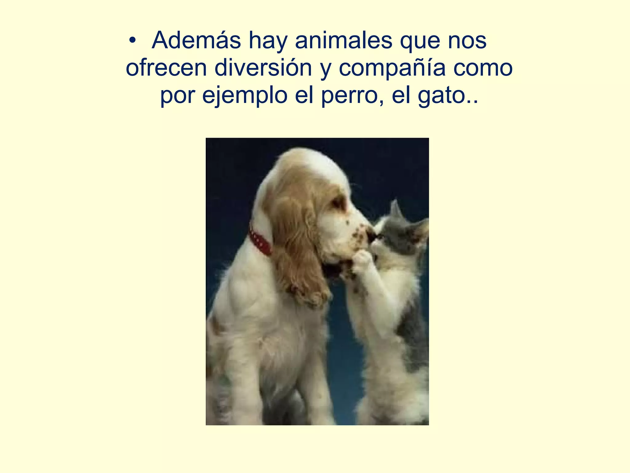 Diferencia entre animales domésticos y salvajes | PPT | Pets
