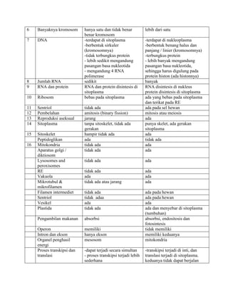 Diferrences of prokaryotic cell and eukaryotik cell | PDF