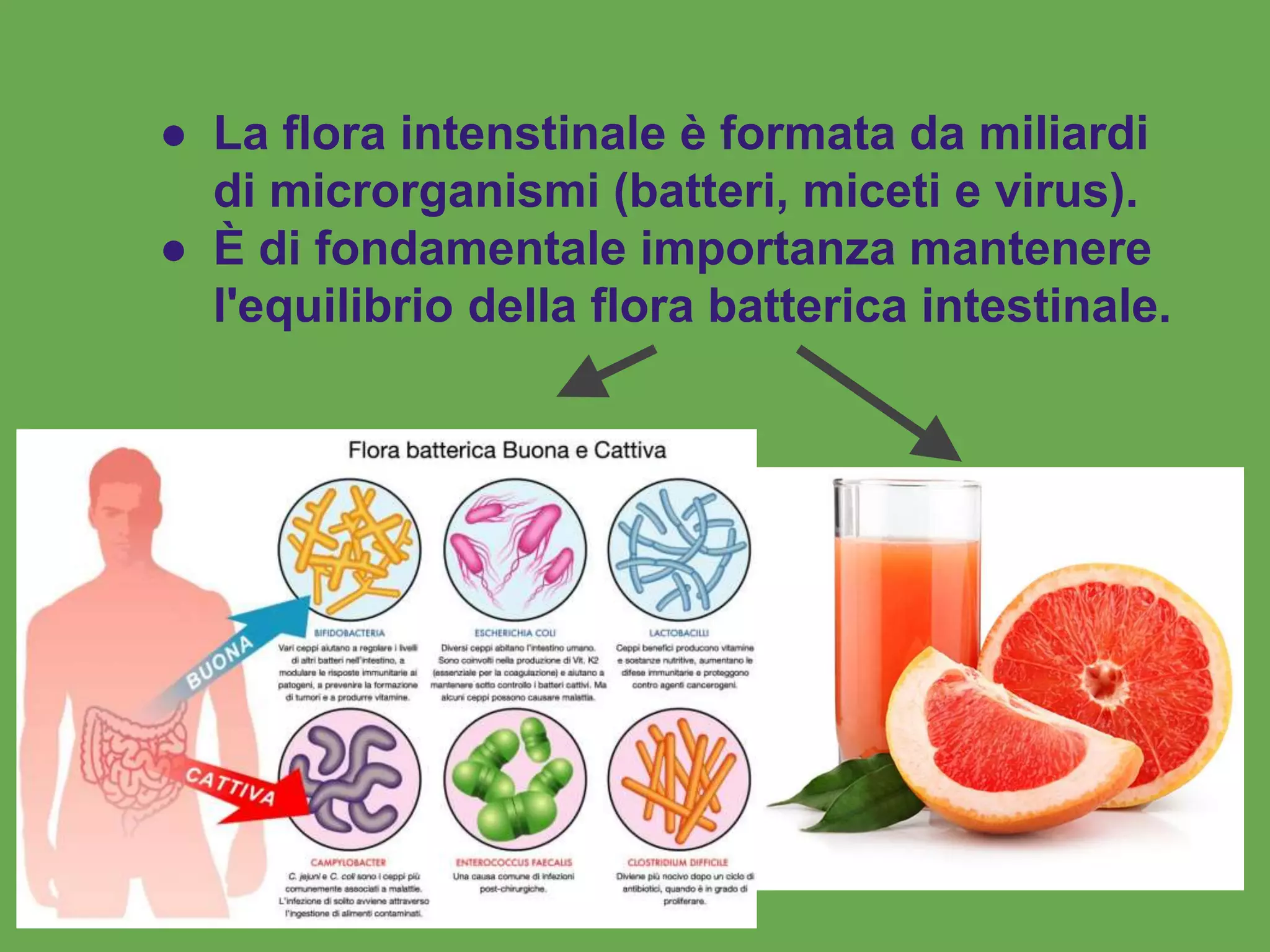 Difese dell'organismo .odp