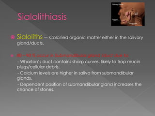 Differential Diagnosis of Salivary Gland Lesions | PDF