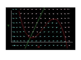 Differential Equations Presention powert point presentation | PPT