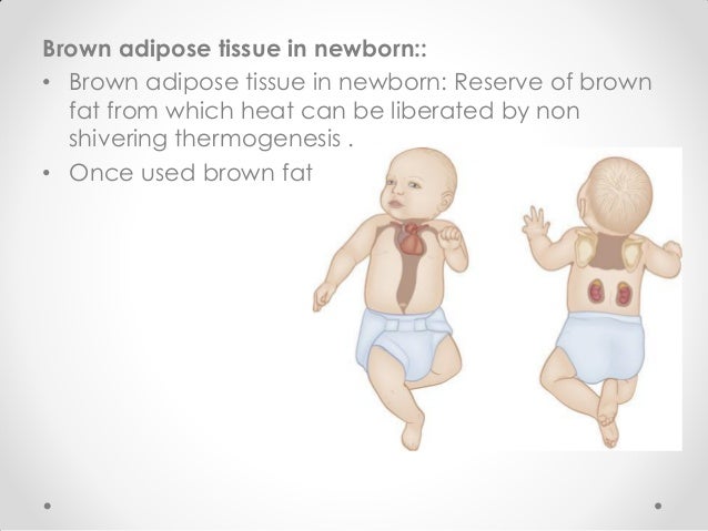 Difference between child and adult
