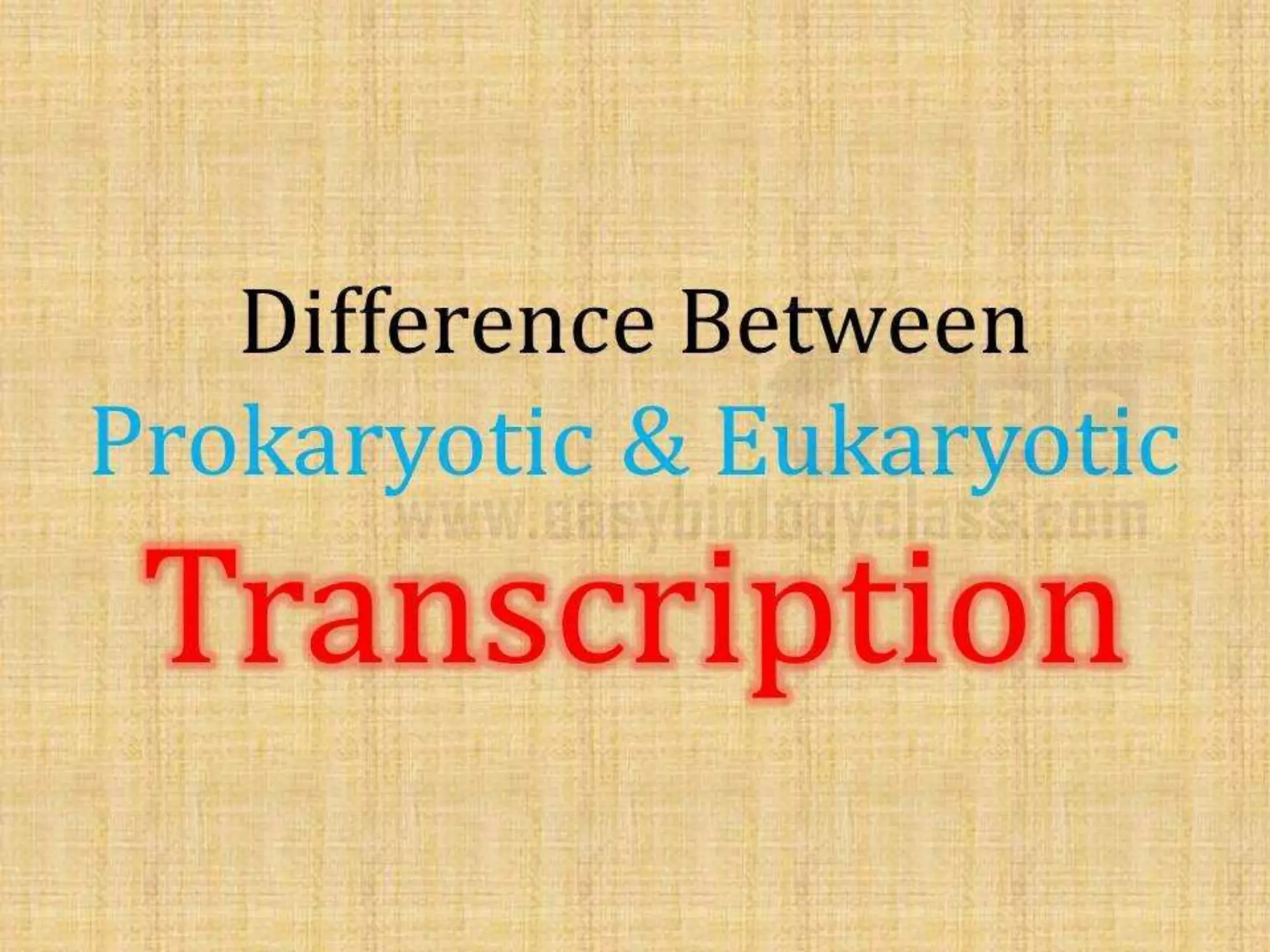 Difference between-prokaryotic-and-eukaryotic-transcription-ppt-and-pdf ...