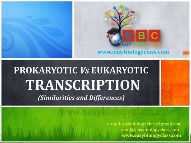 Difference between-prokaryotic-and-eukaryotic-transcription-ppt-and-pdf ...