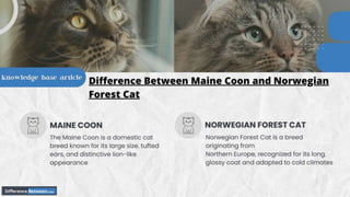 Difference between.pptx