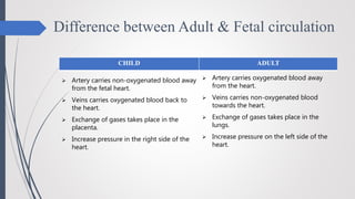 Difference between adulty and child (For B.Sc Nursing) | PPTX