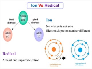 Difference between an Ion and a Radical