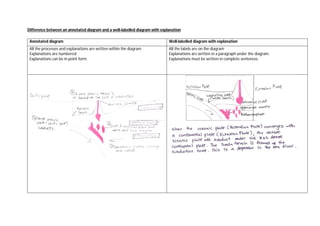 Difference between annotated and labelled | PDF