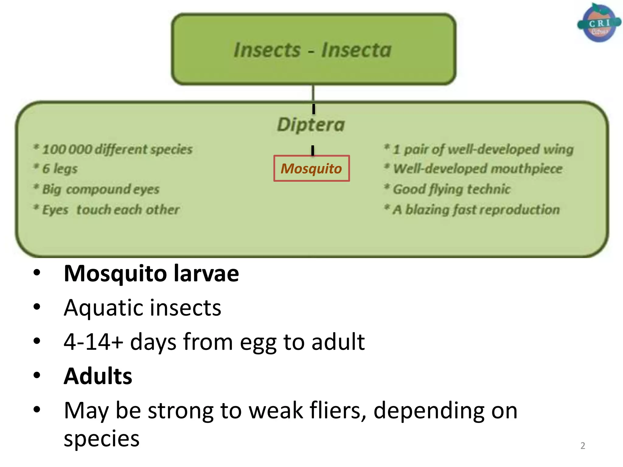 Difference between major mosquito species (Anophele, Culex and Aedes sp.) | PPTX