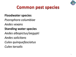 Difference between major mosquito species (Anophele, Culex and Aedes sp.) | PPTX