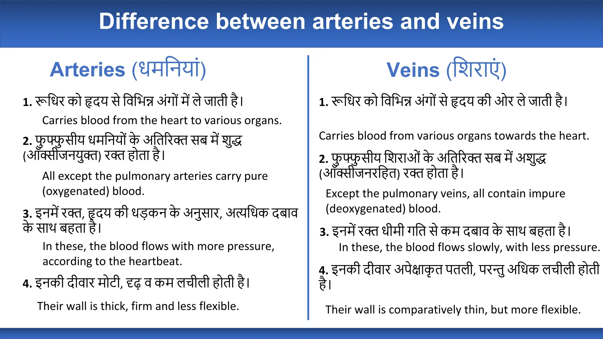 Difference between arteries and veins pdf/pptx | PPTX