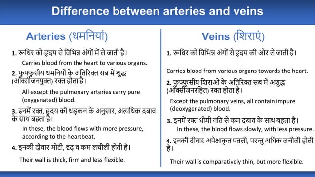 Difference between arteries and veins pdf/pptx | PPT