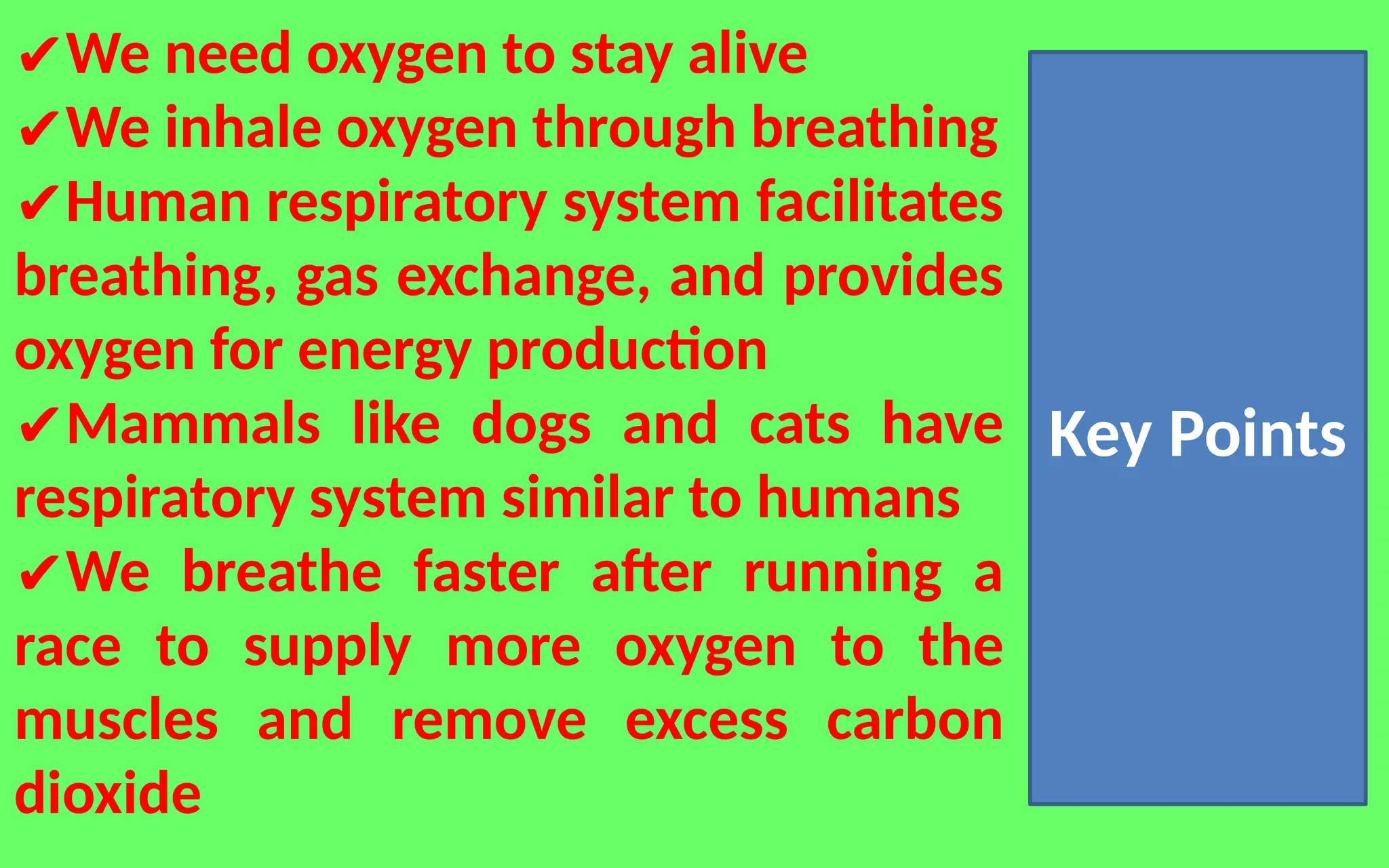 Difference between Breathing and Respiration | PPTX