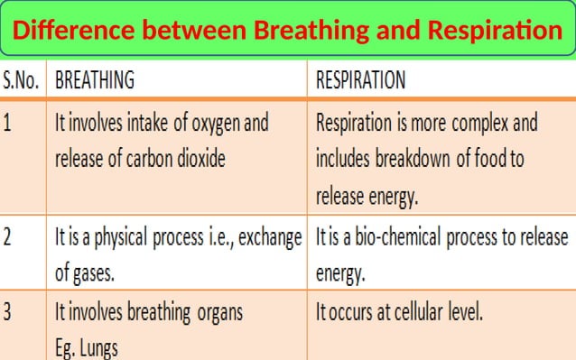 Difference between Breathing and Respiration | PPTX
