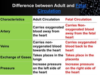 difference between child & adult.pptx