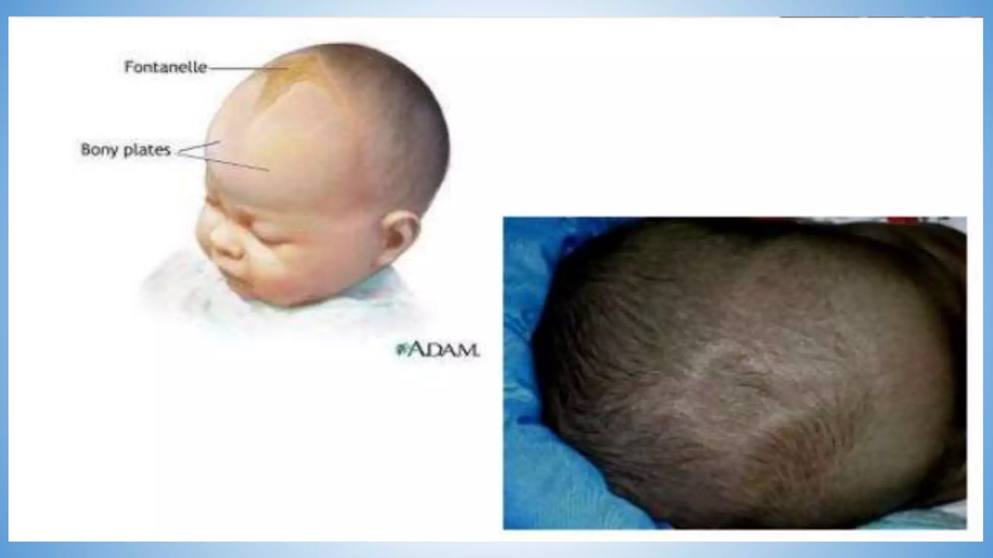 Difference between children and adult | PPTX