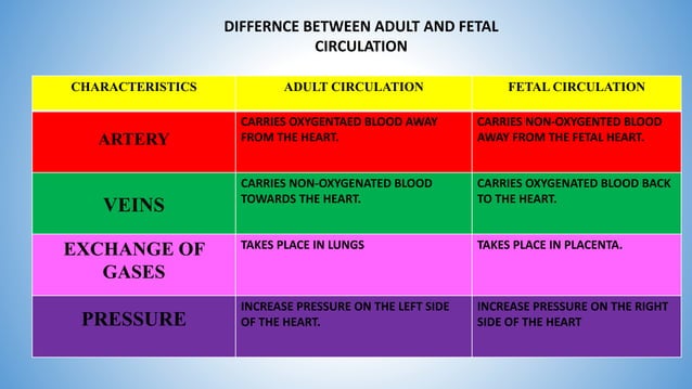 Difference between children and adult | PPTX