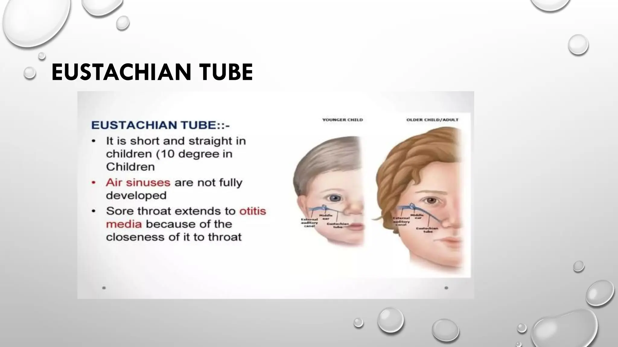 DIFFERENCE BETWEEN CHILDREN AND ADULTS pptx | PPT