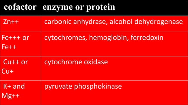 Difference between coenzyme vs cofactor | PPT