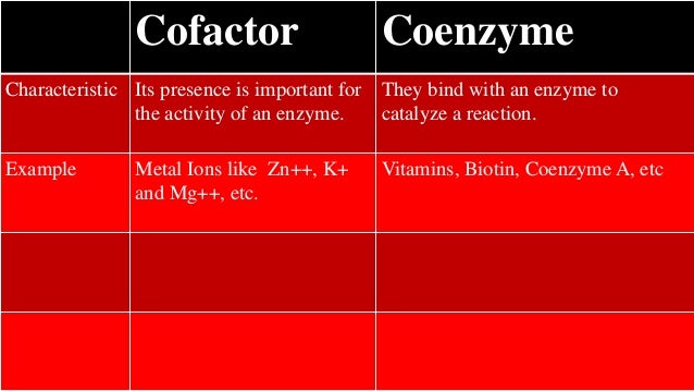 Difference between coenzyme vs cofactor