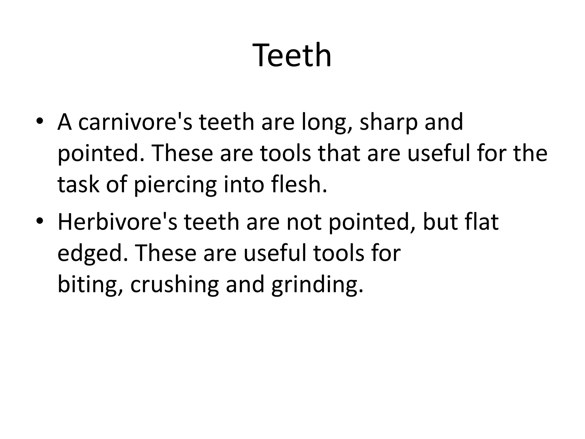 Difference between digestive tract of herbovores vs carnivores | PPTX