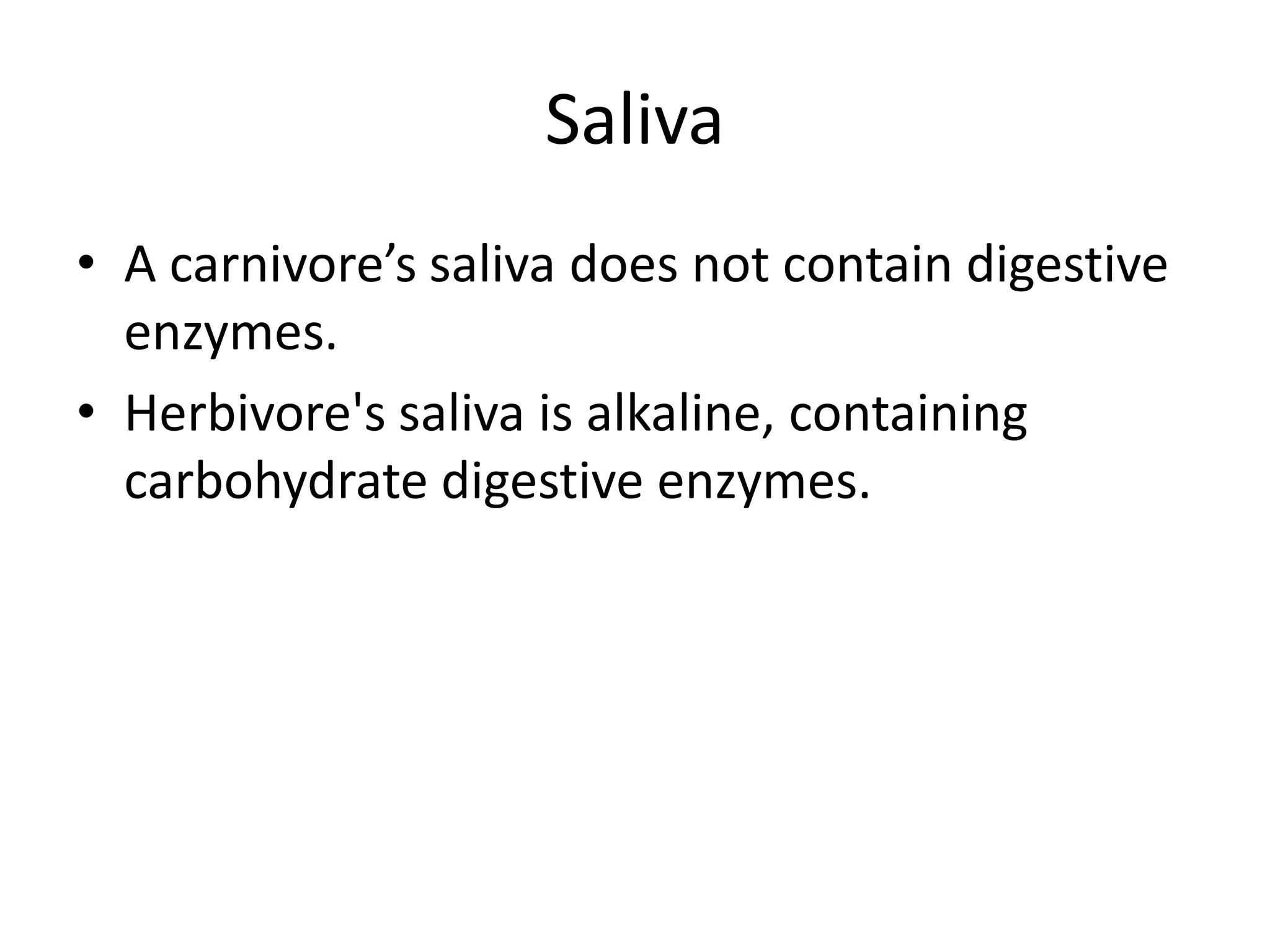 Difference between digestive tract of herbovores vs carnivores | PPTX