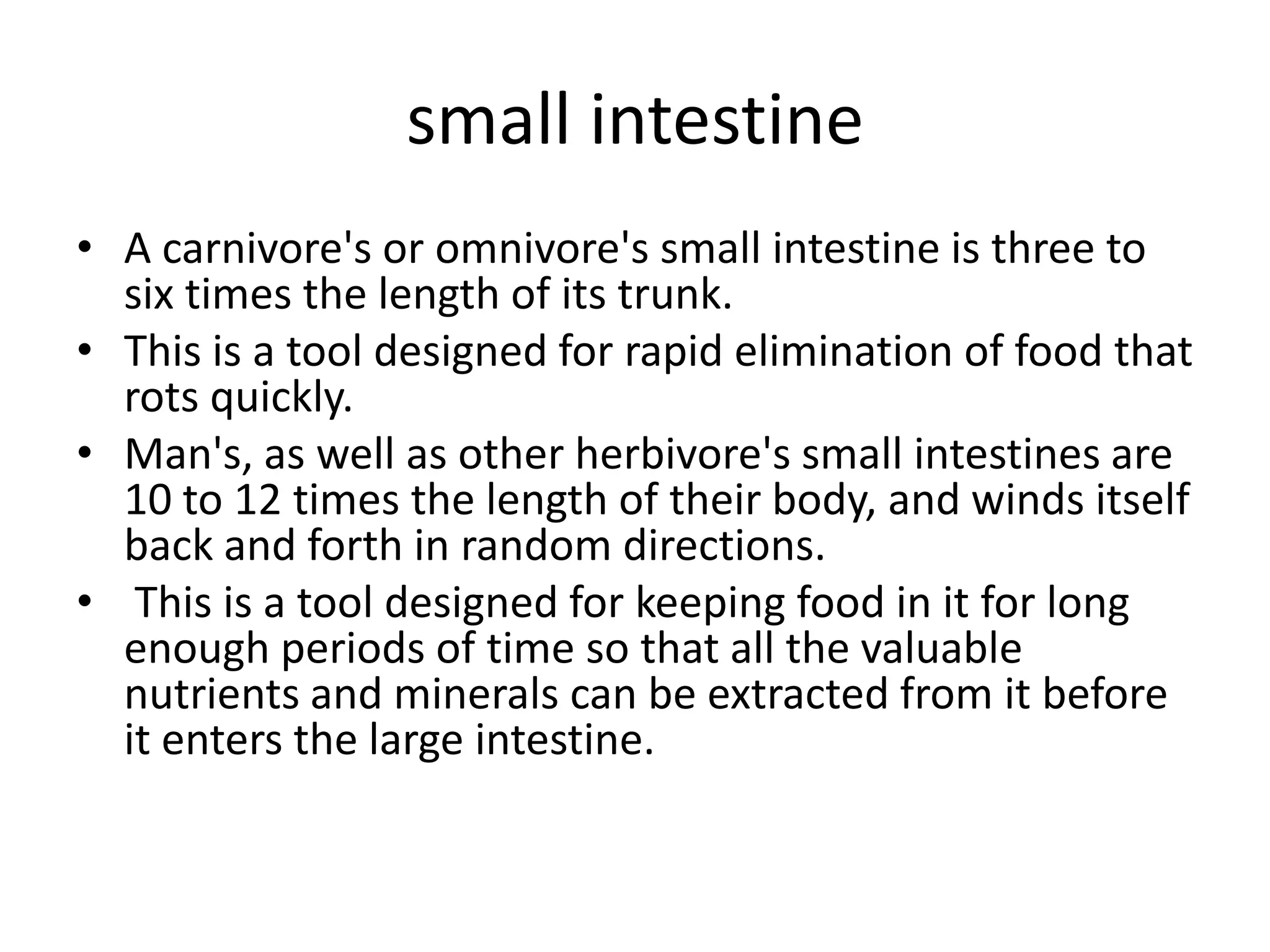 Difference between digestive tract of herbovores vs carnivores | PPTX
