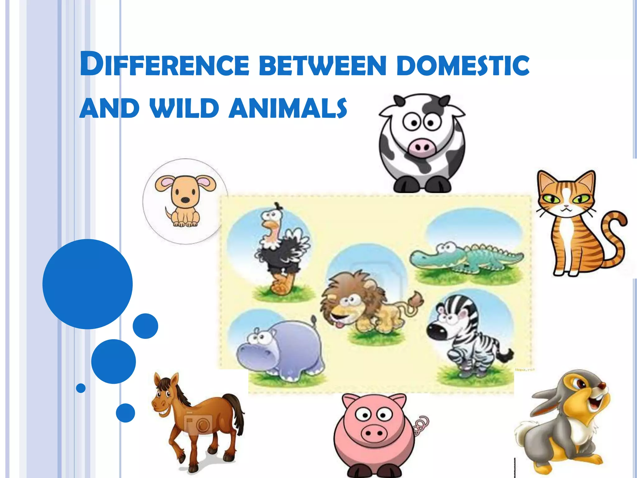 Difference between domestic and wild animals | PPTX