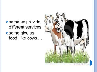 Difference between domestic and wild animals | PPTX