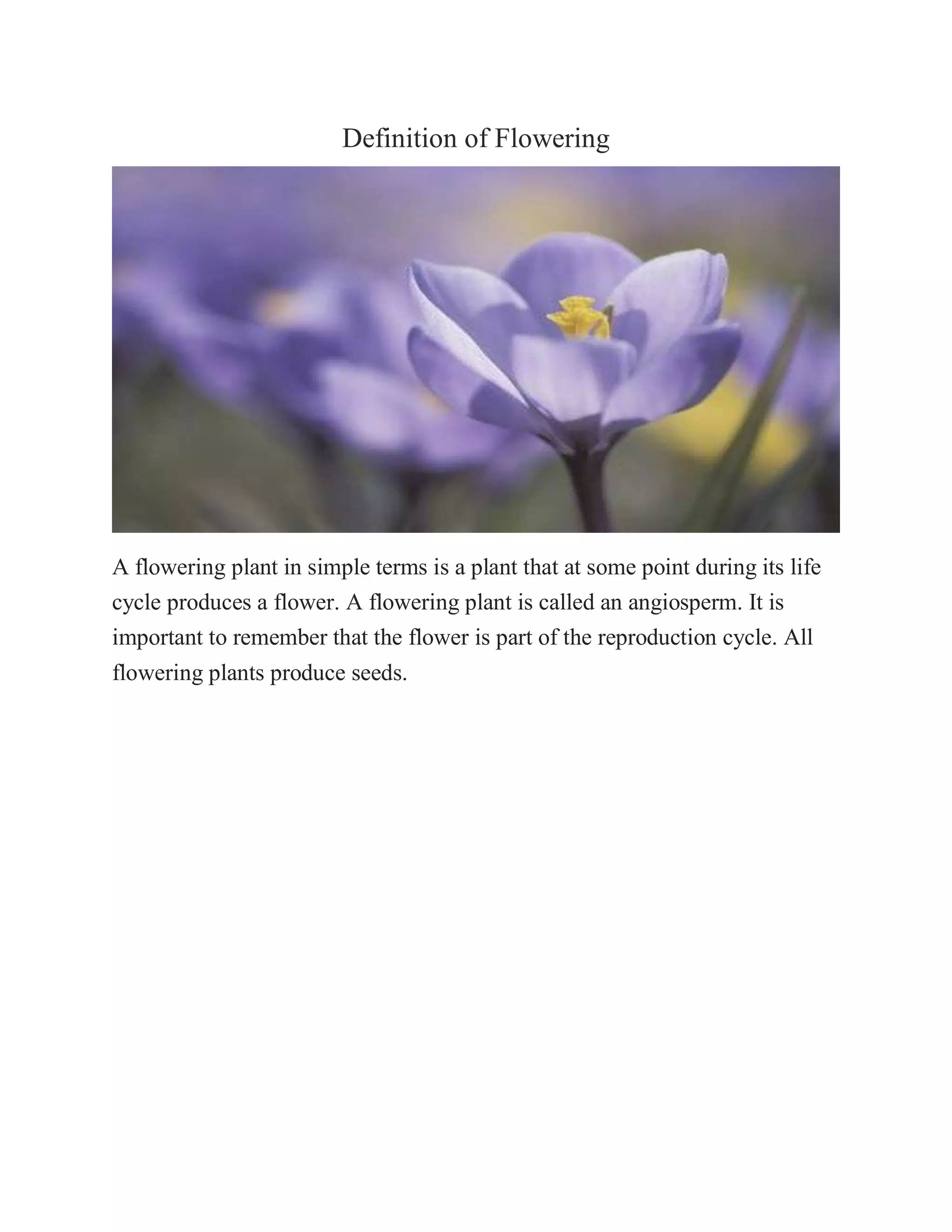 Difference between flowering & Non Flowering Plants | PDF